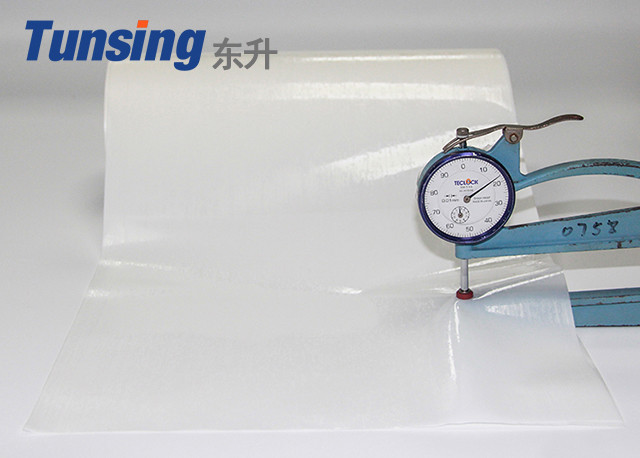 Thermoplastic Translucent Hot Melt Adhesive Film For Fabric